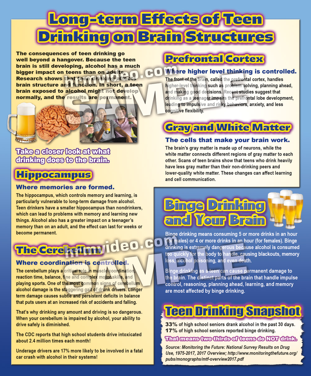 Spotlight on Alcohol and the Developing Teen Brain Pamphlets - Human ...