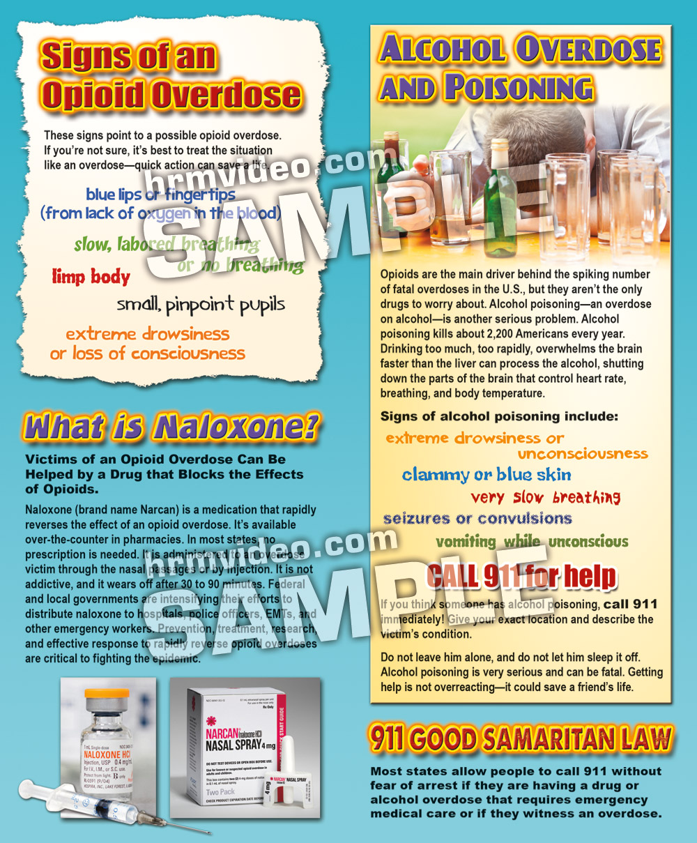 Spotlight on Preventing Accidental Drug Overdose Pamphlet - Human ...