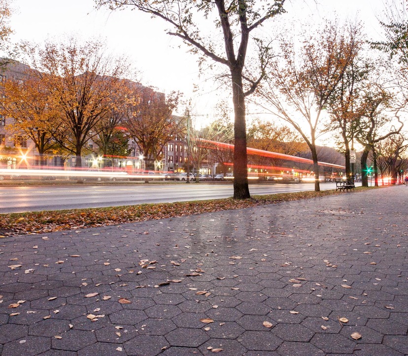 Crown Heights, Brooklyn Neighborhood Guide - Nooklyn