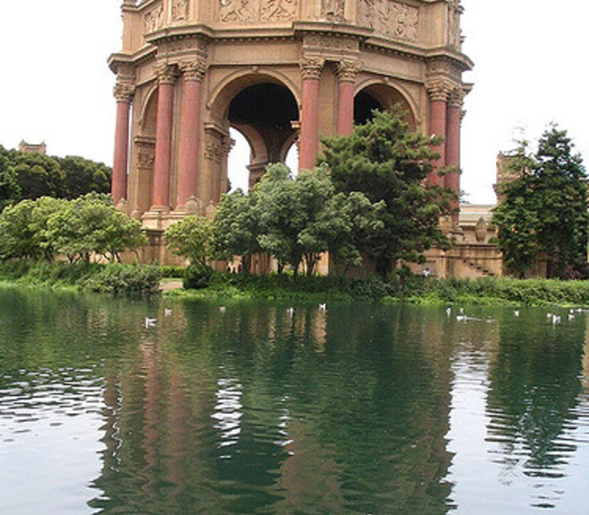 Marina, San Francisco Neighborhood Guide - Nooklyn