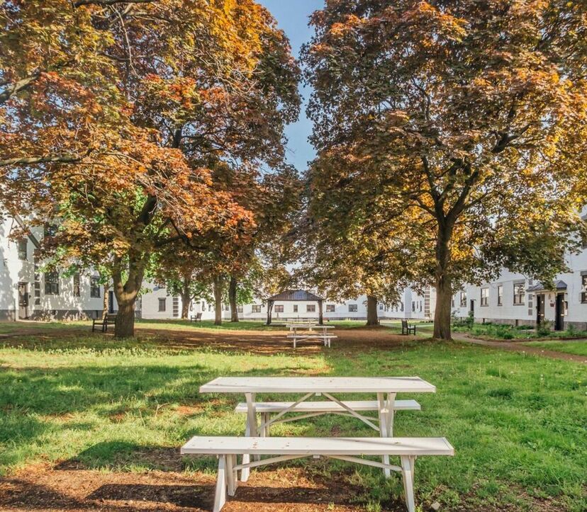 East New York, Brooklyn Neighborhood Guide - Nooklyn