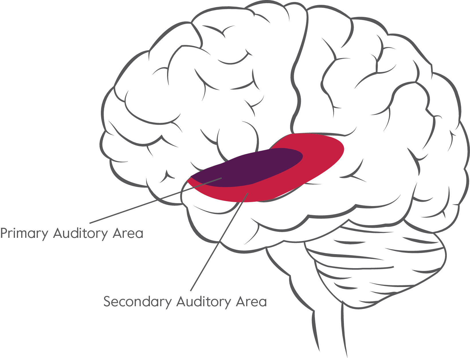 Notch 8: An Iron Road Healthcare Chronicle