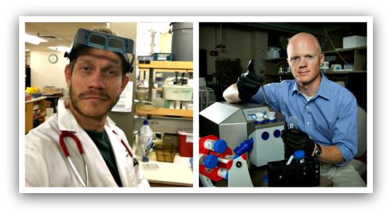 Ben Bikman transcript | Nourish Balance Thrive