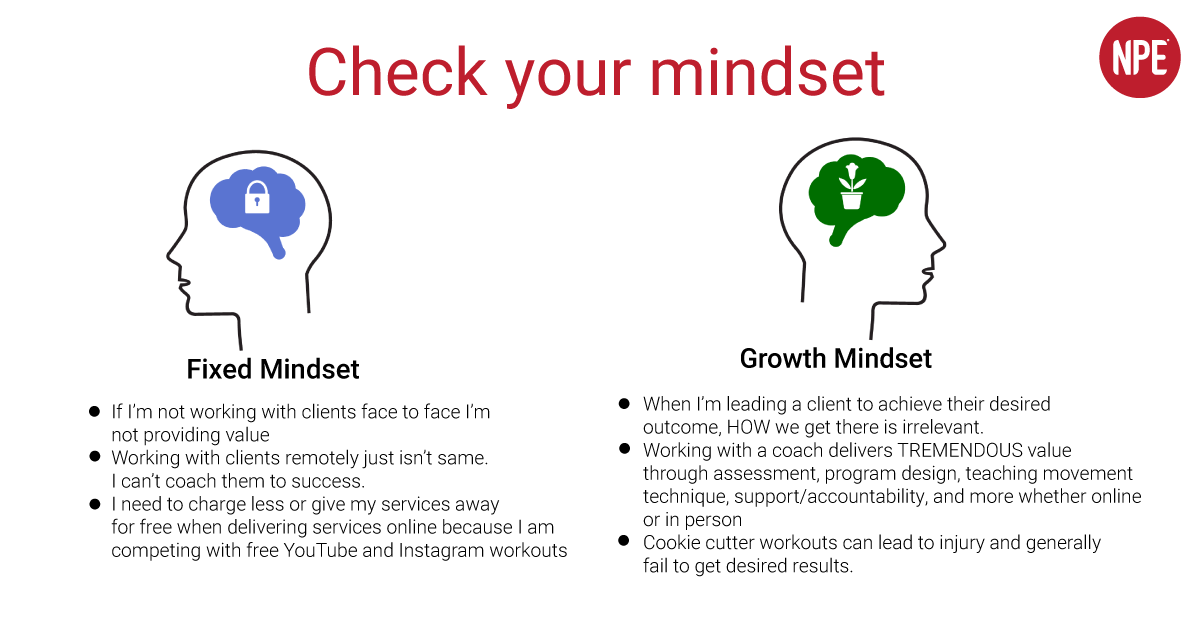 How to Make Money Training Fitness Clients Online : NPE Fitness