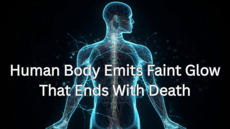 NRIPage | Articles | Human Body Emits Faint Glow That Disappears After ...