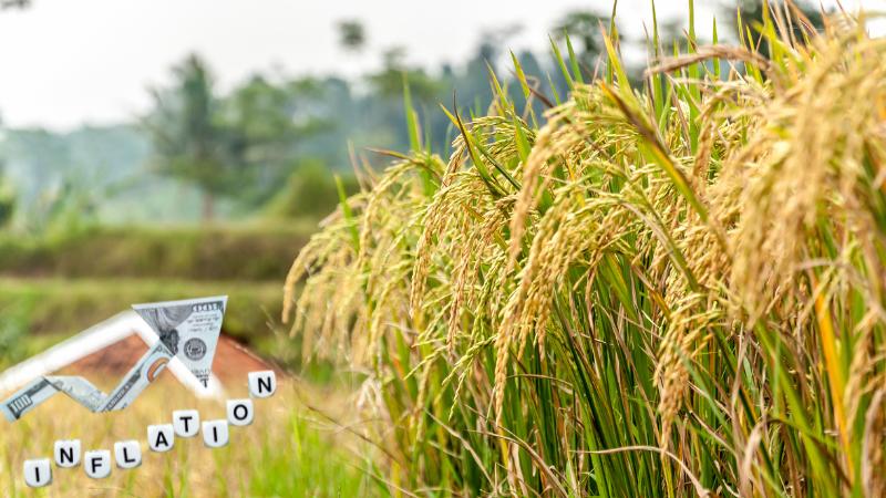 NRIPage | Articles | Japan Rice Prices Surge Over 100 Percent in May ...