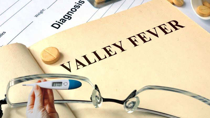 NRIPage | Articles | Valley fever cases surge in California as rare ...