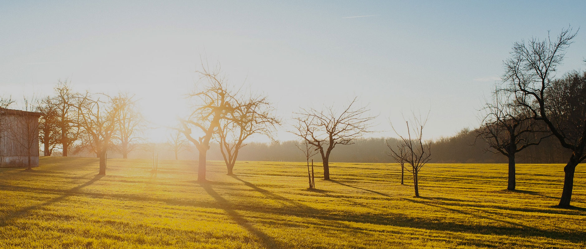 Article | NewSpring.cc