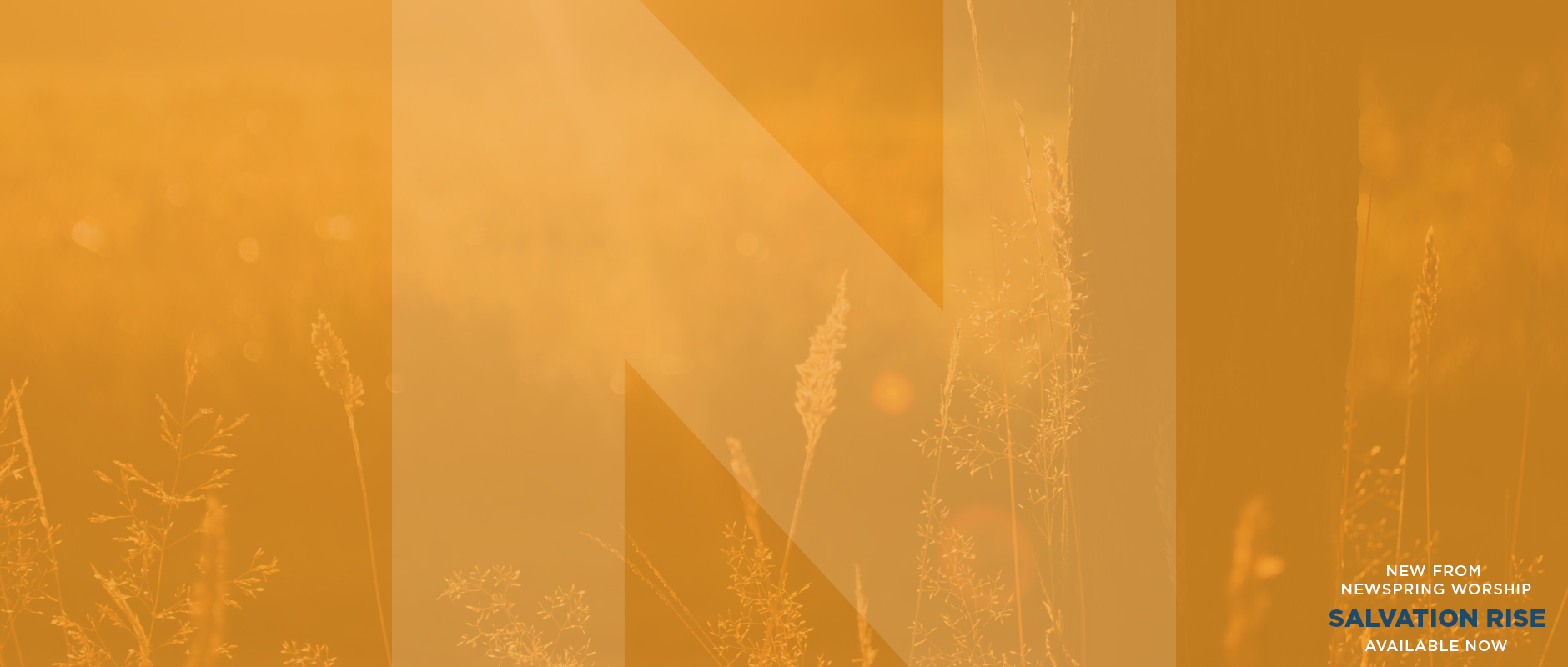 Article | NewSpring.cc