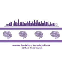 The AANN Northern Illinois Chapter | Nursing Network
