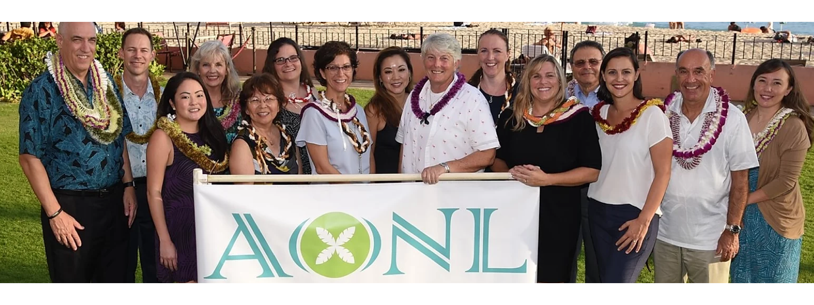 American Organization of Nurse Leaders Hawaii | Nursing Network