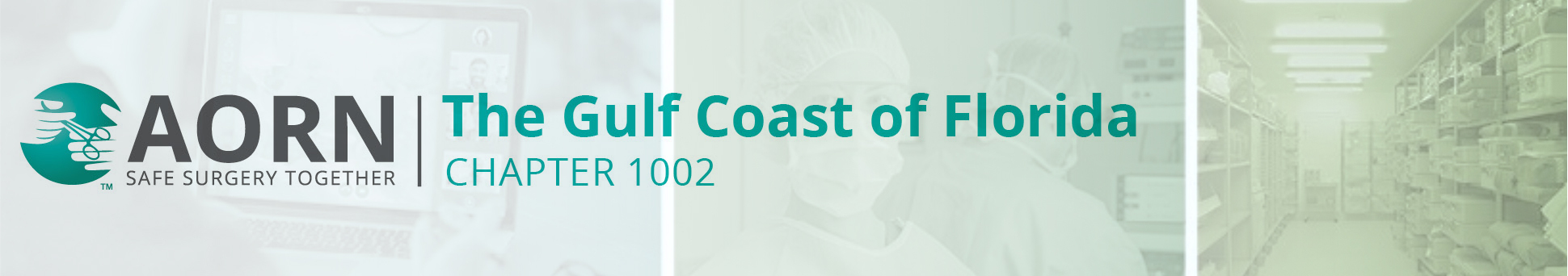 Board Meeting- March 8th 2025- Nursing Network Gulf Coast Chapter 1002 ...