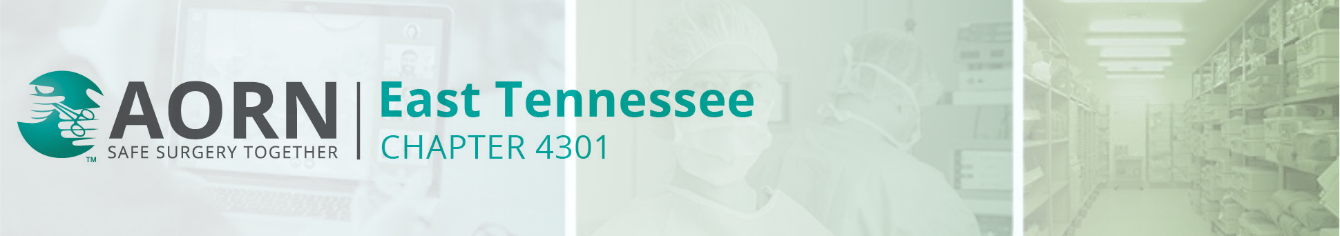 AORN East TN Chapter 4301 - T-Shirt Fundraiser | AORN East Tennessee ...