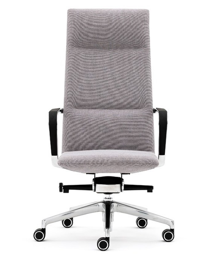 Rapt Ergonomic executive chair by Senator - Oburo