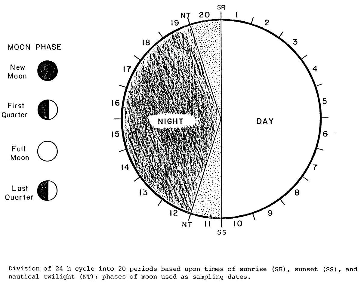 Abecedarian Posts Tagged Daylight