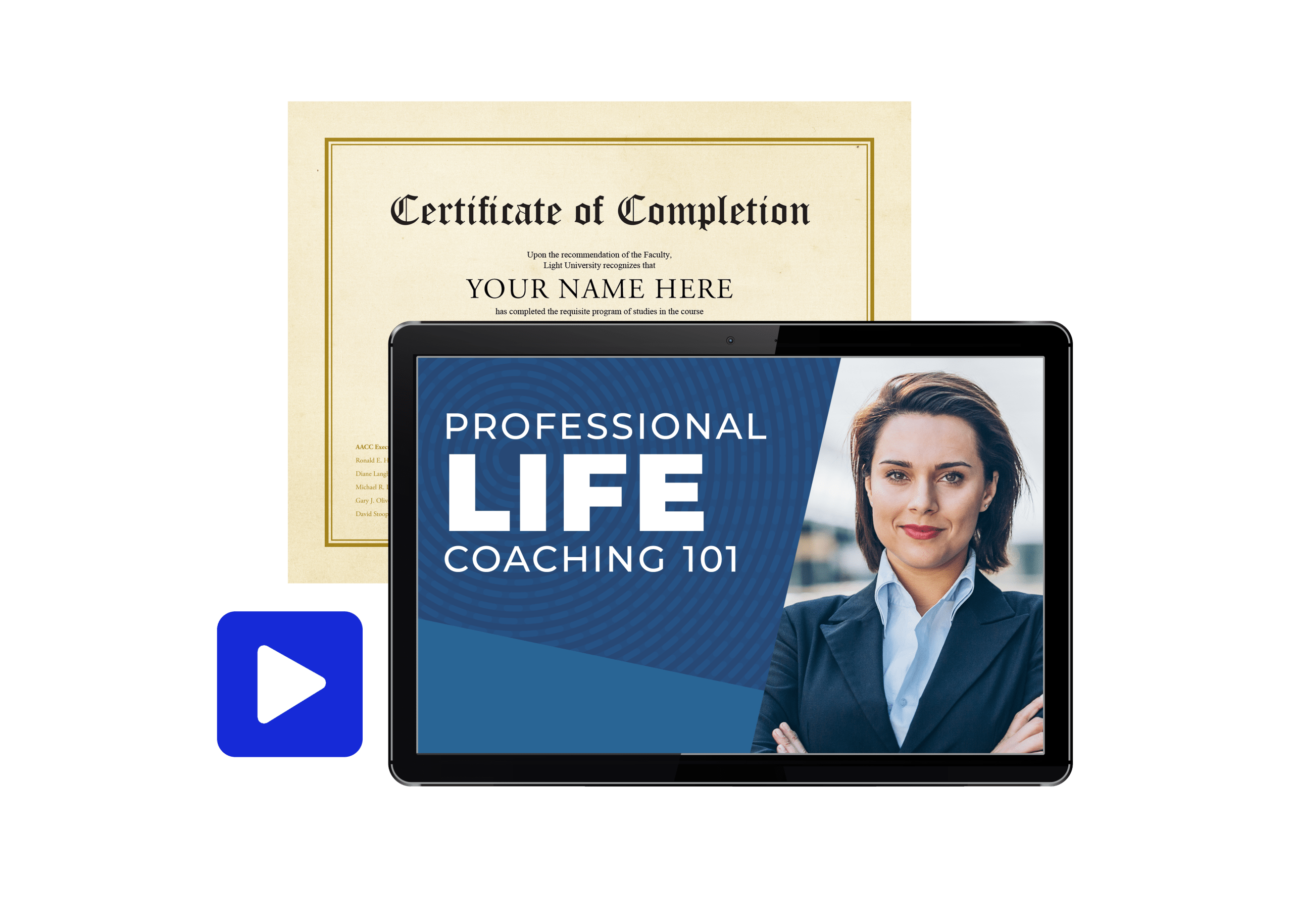 Professional Life Coaching 101 - Light University