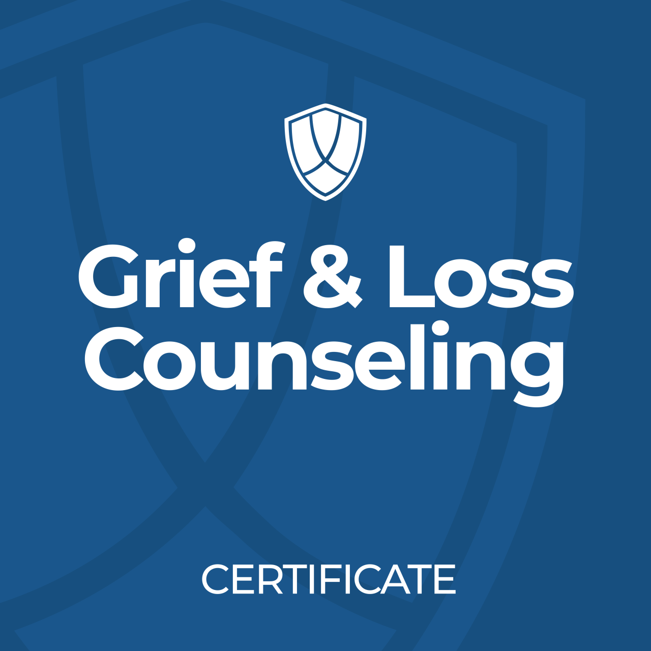 Online Biblical Counseling Certificate | Light University