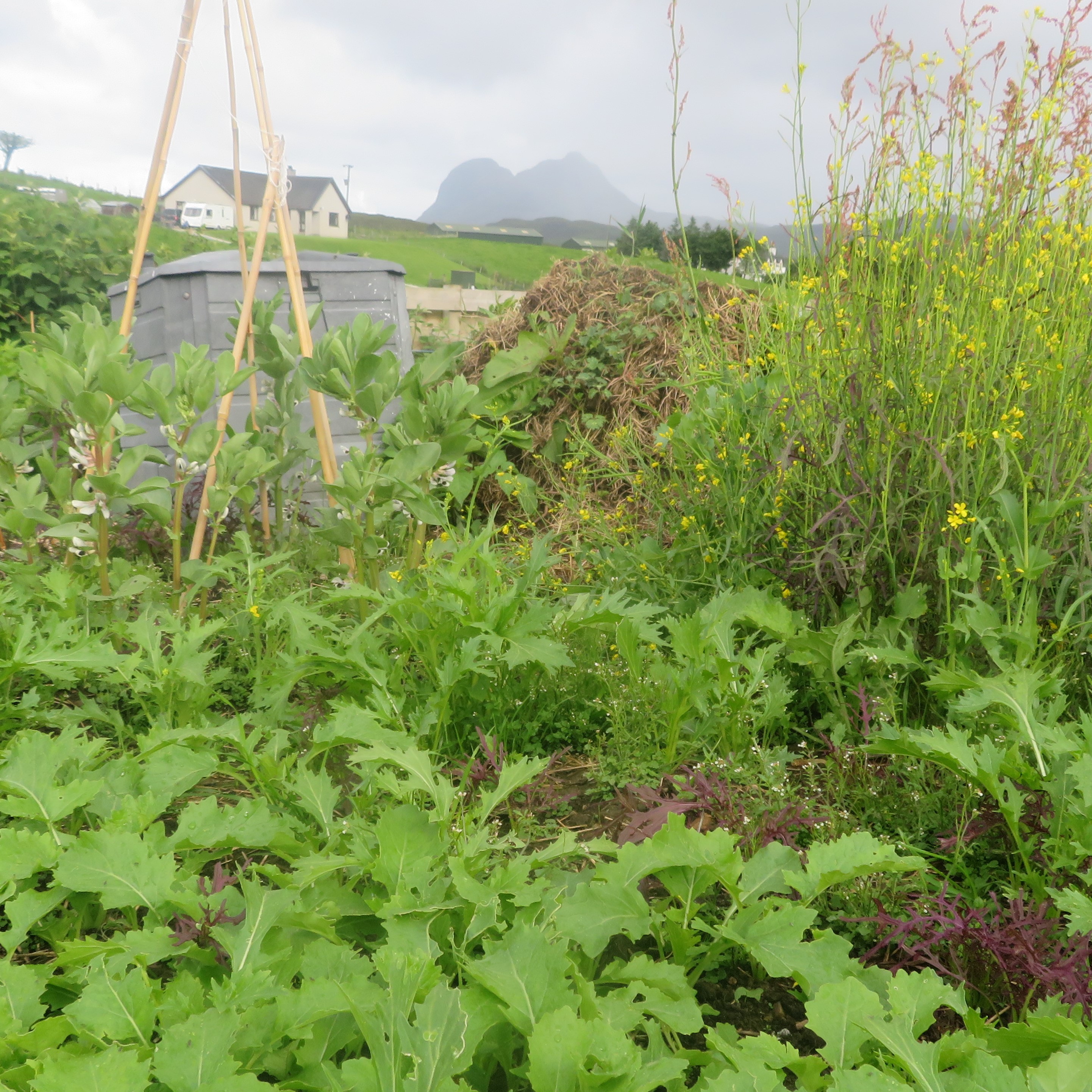 The Green Bowl - Open Food Network