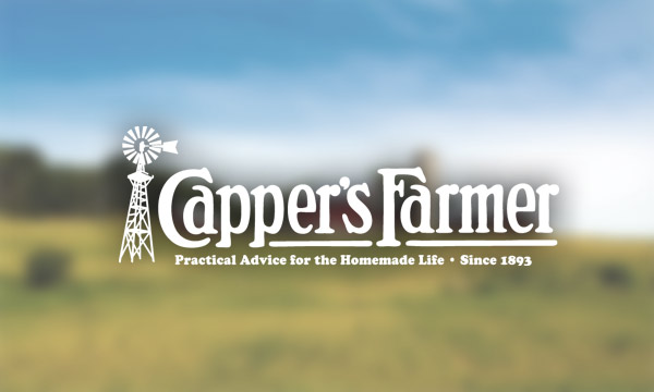 Saving and Caring for Seeds - Capper's Farmer | Practical Advice for ...