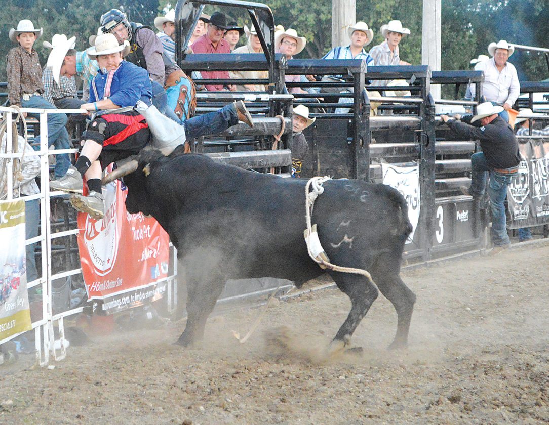 A tough night for bull riding | News, Sports, Jobs - Marshall Independent