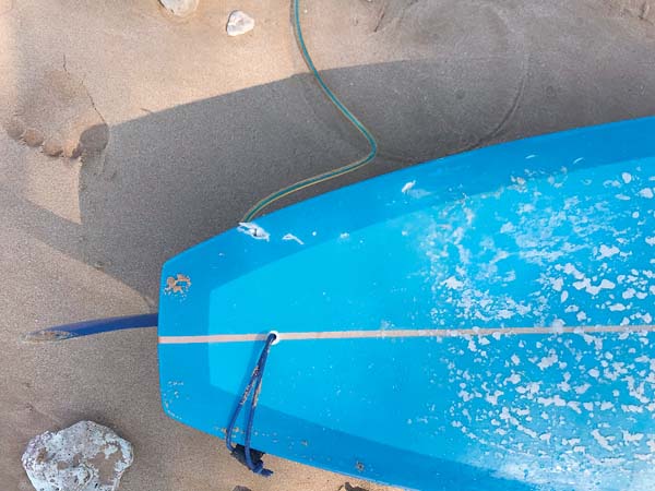 Shark bites surfboard off Kihei | News, Sports, Jobs - Maui News