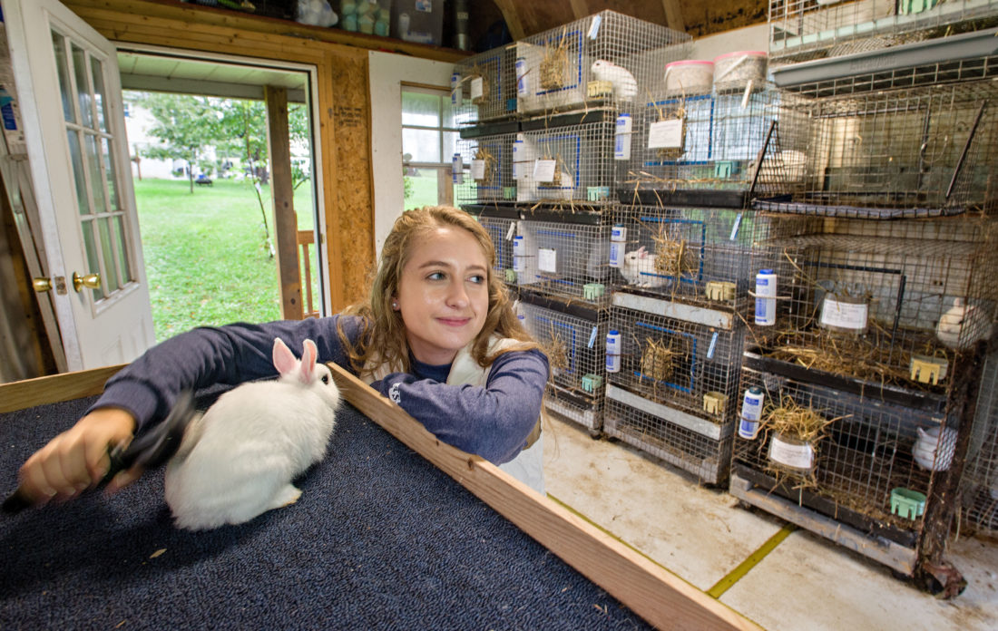 Making nationals: Raising rabbits earns teen spot at FFA National ...