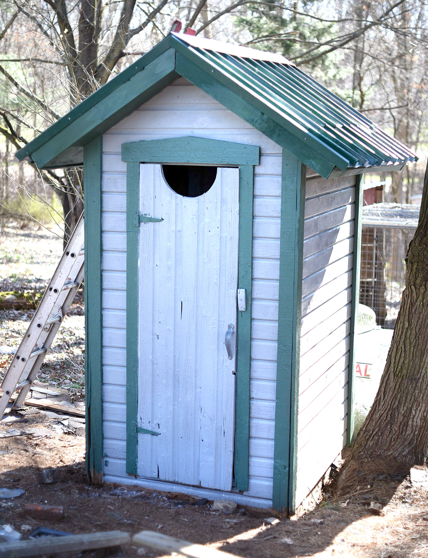 Renovating ‘This Old Outhouse’ | News, Sports, Jobs - The Review