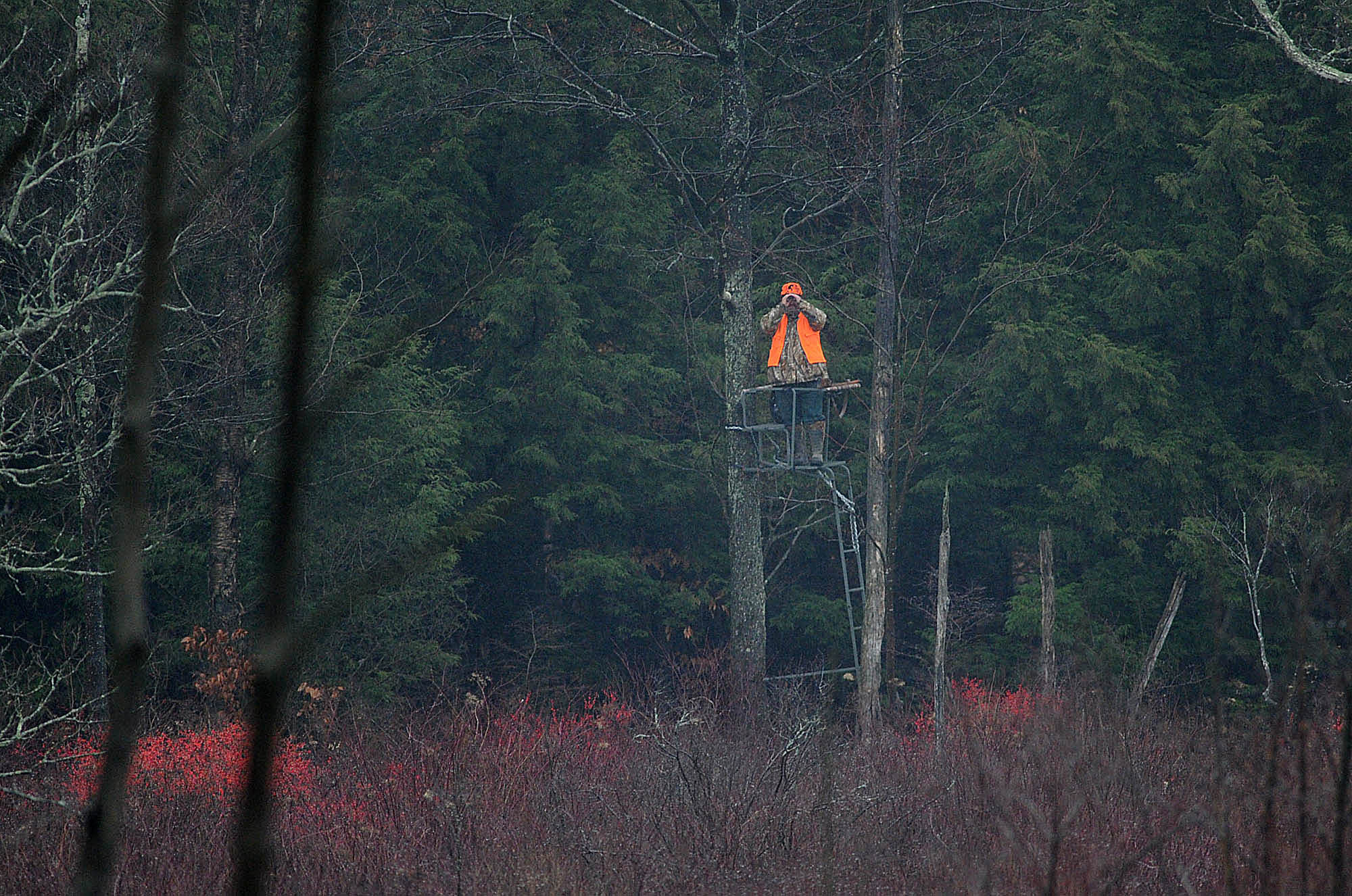 Deer season will start early in 2019 | News, Sports, Jobs ...