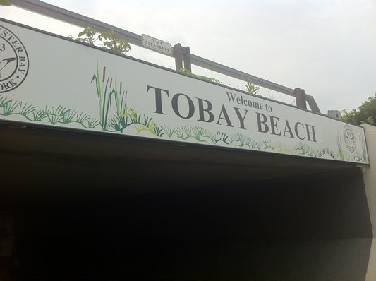 비치 보면서 힐링하기 Tobay Beach [뉴욕 근교 여행]