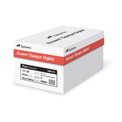 Warm White Accent Opaque 12 X 18 27.28M 60lb Digital Smooth