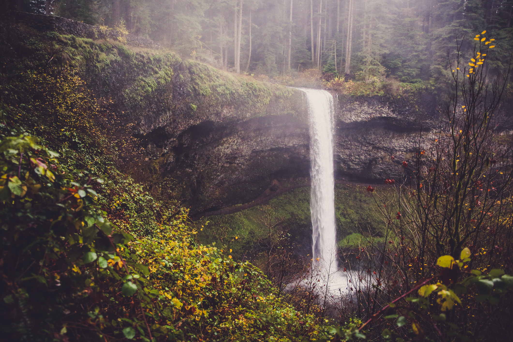 Using Natural Light To Your Advantage – ON1