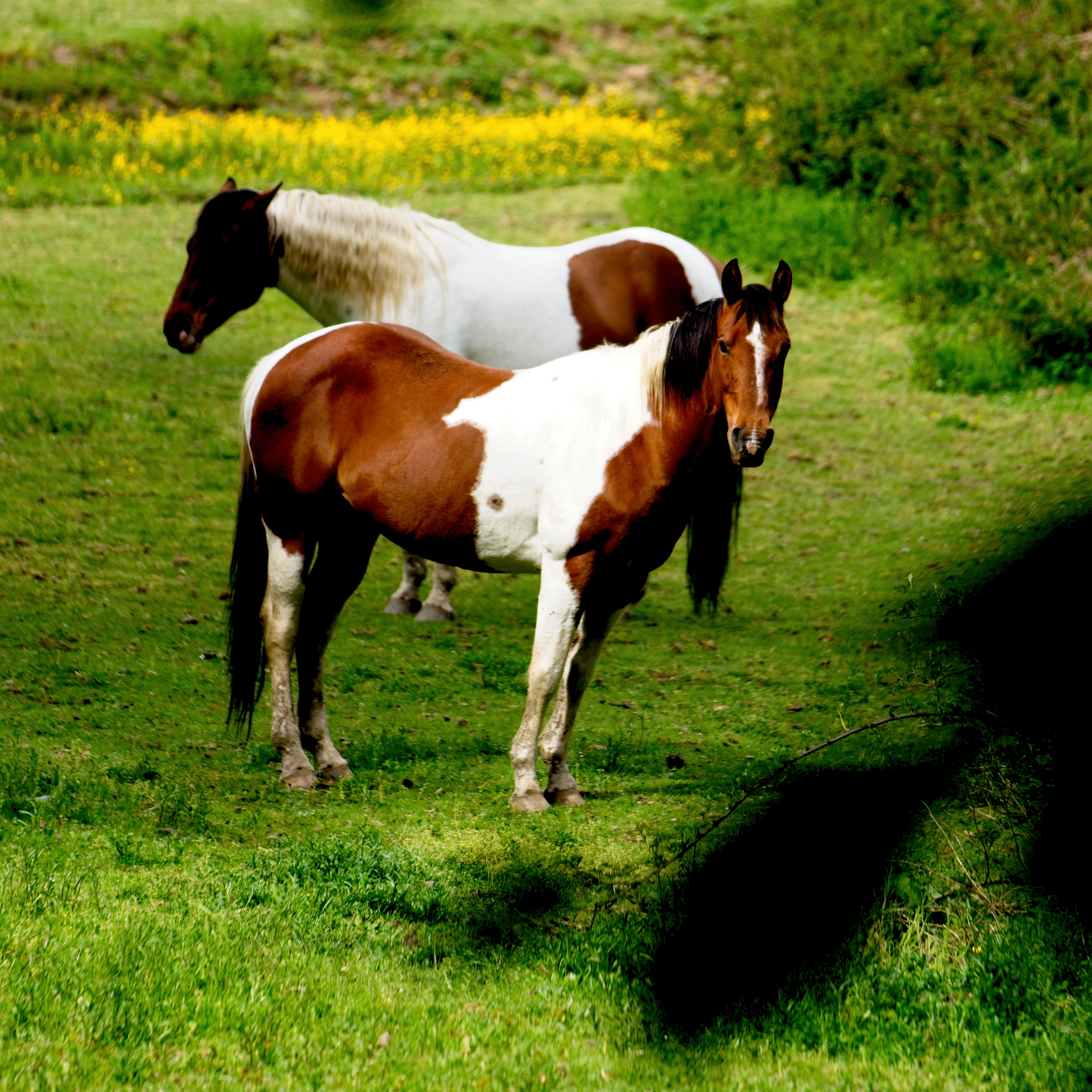 5 Signs You've Over Edited a Photo – ON1