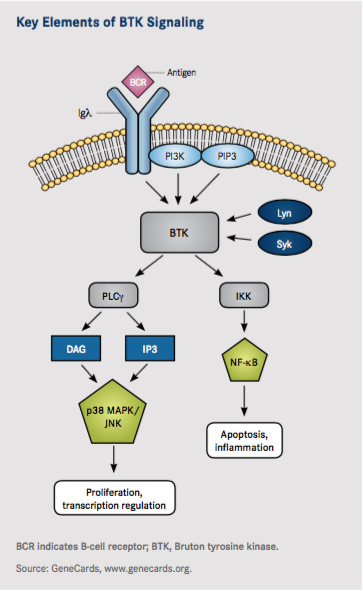 BTK Inhibitors Mushroom in Blood Cancer Field