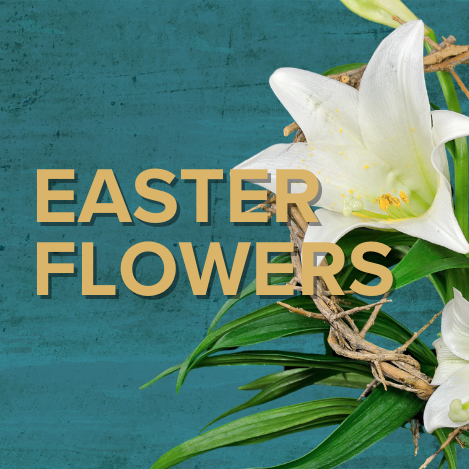 Easter Flower Donation | Crossroads Community Church