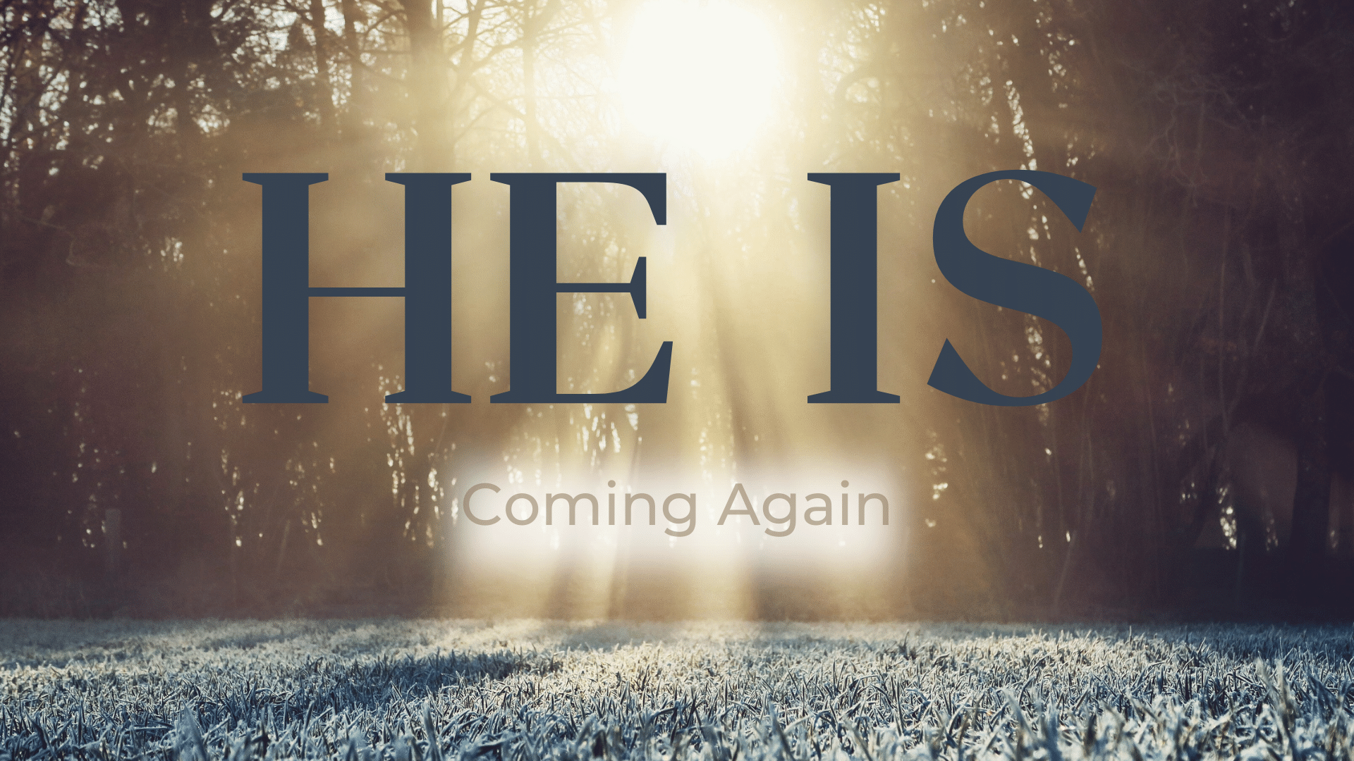 Coming Again | First Medina