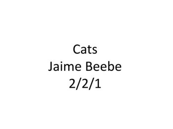 Cats be Like...by Jaime Beebe