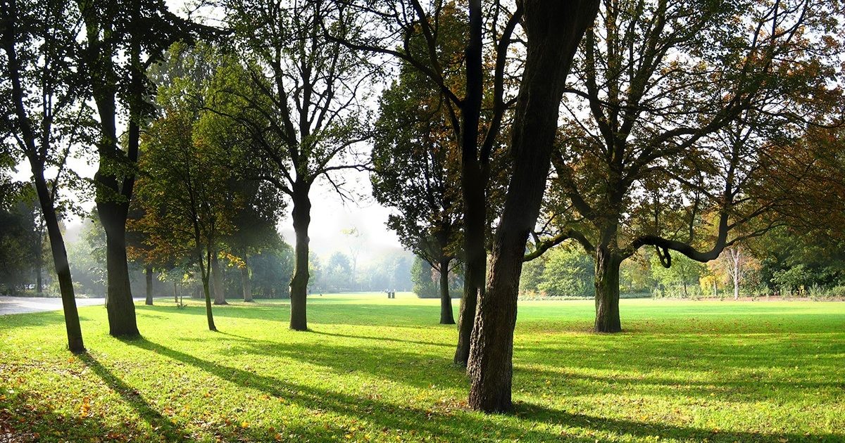 On the Grid : Oosterpark