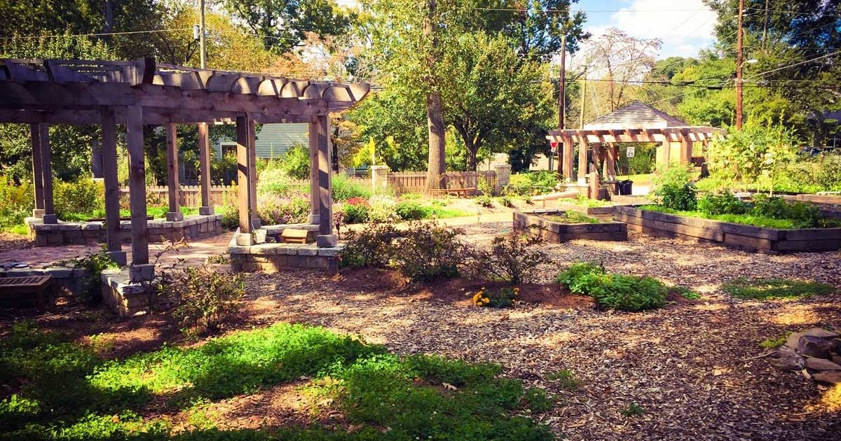 On the Grid : Edgewood Community Learning Garden