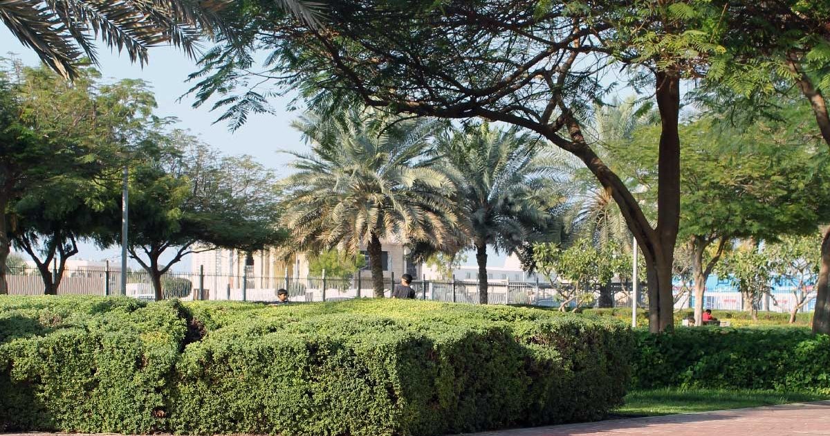 On the Grid : Satwa Park