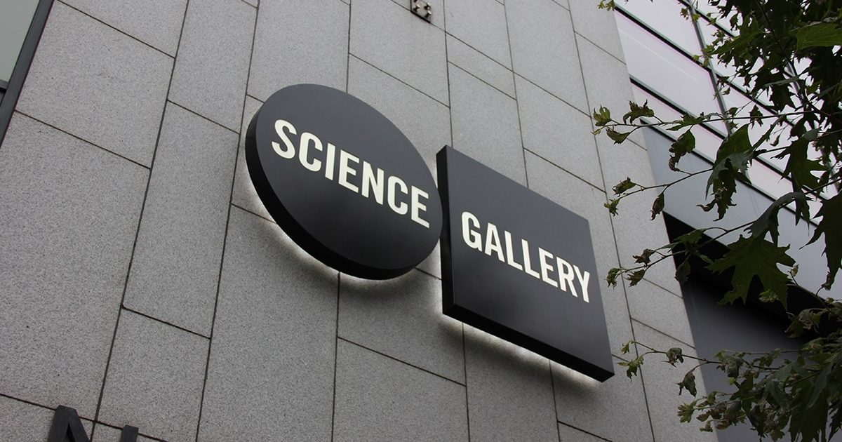 On the Grid : Science Gallery