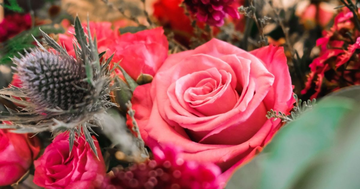 On the Grid : Rogue Flowers