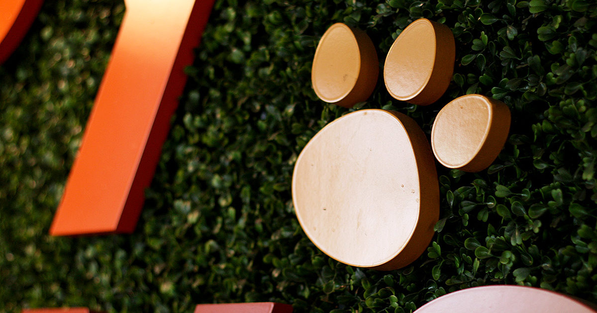 On the Grid : Baby Barnaby's