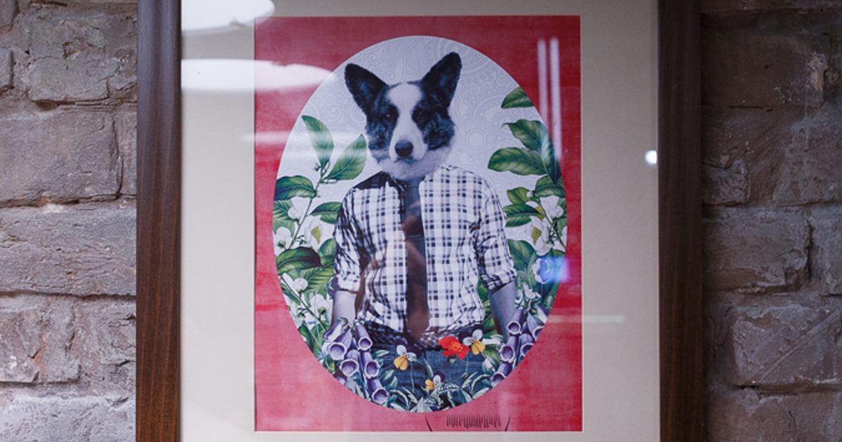 On the Grid : Dogs & Tails