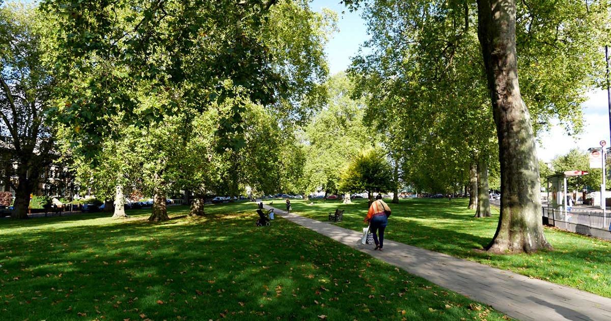 On the Grid : Goose Green