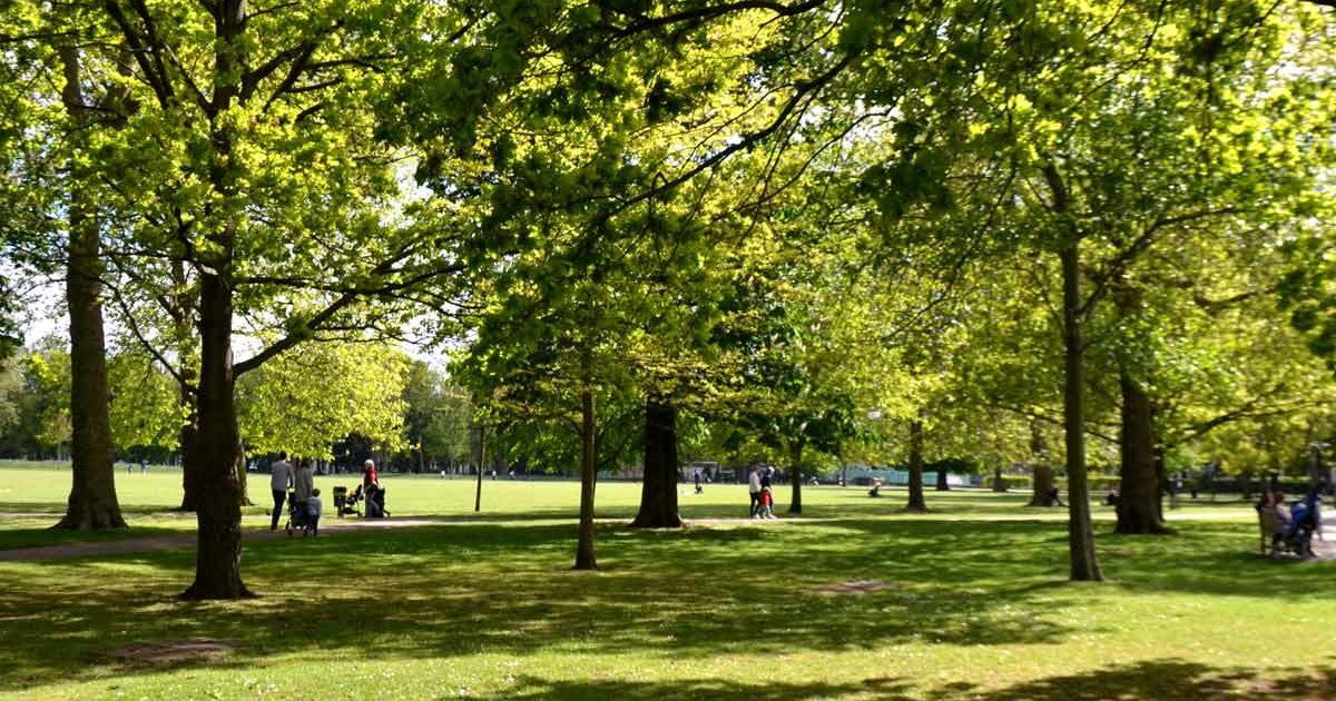 On the Grid : Queen's Park