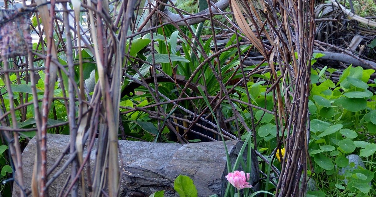 On the Grid : The Ron Finley Project