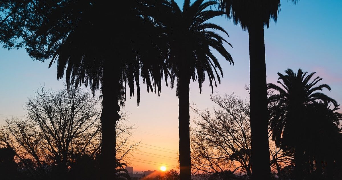 On the Grid : Footscray Park