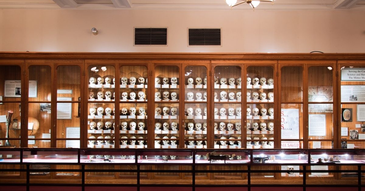 On the Grid : Mütter Museum