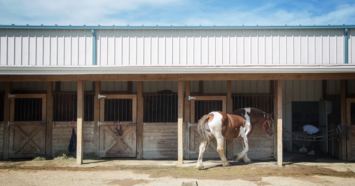 On the Grid : Carriage Company Stables