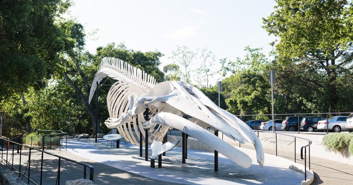 On the Grid : Santa Barbara Museum of Natural History